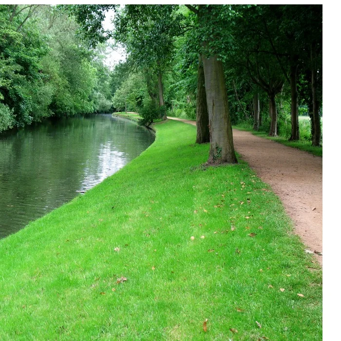 Featured — Faith Capo