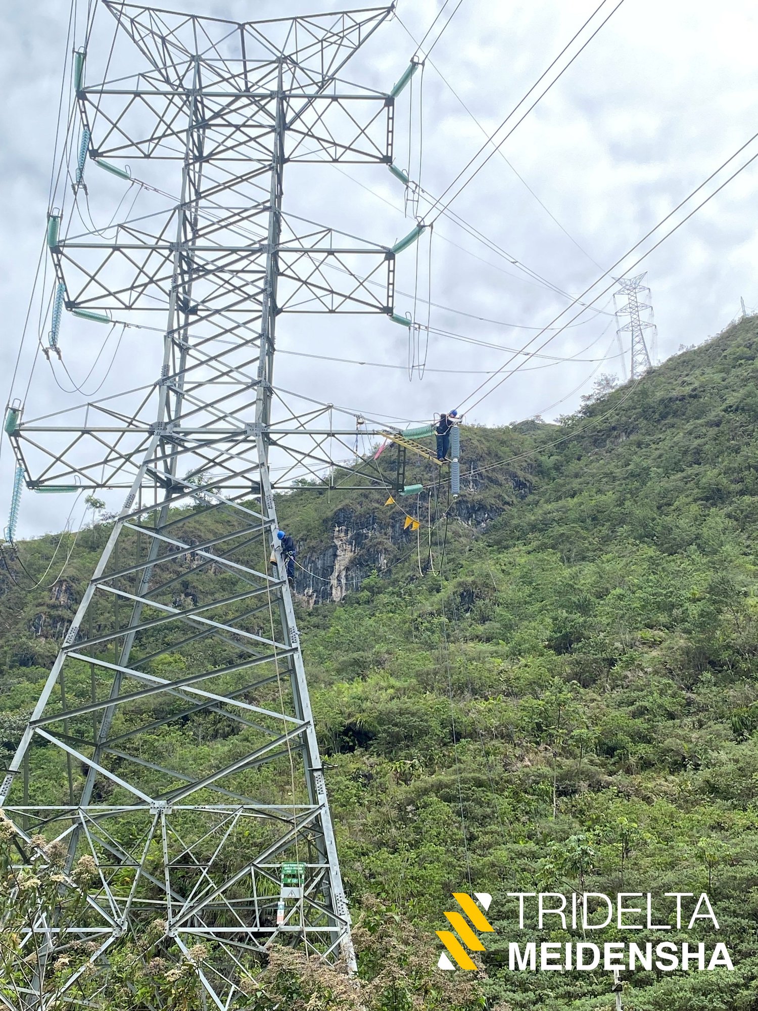 Tridelta - Meidensha — Composite Power Group