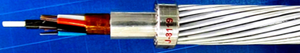 SFPOC — Composite Power Group