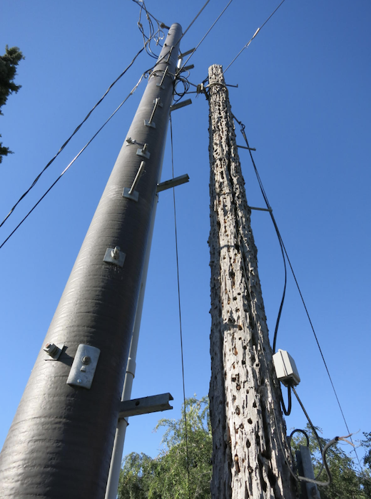 Valmont® Utility Poles and Structures — Composite Power Group