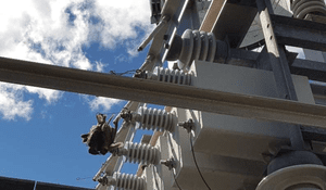 QVARx Open Rack Capacitor Bank Fusing — Composite Power Group