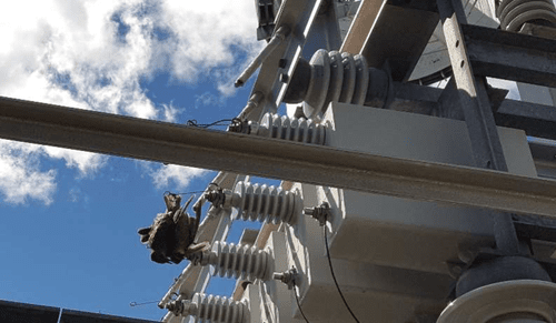 QVARx Open Rack Capacitor Bank Fusing — Composite Power Group