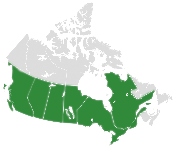 Sefcor — Composite Power Group