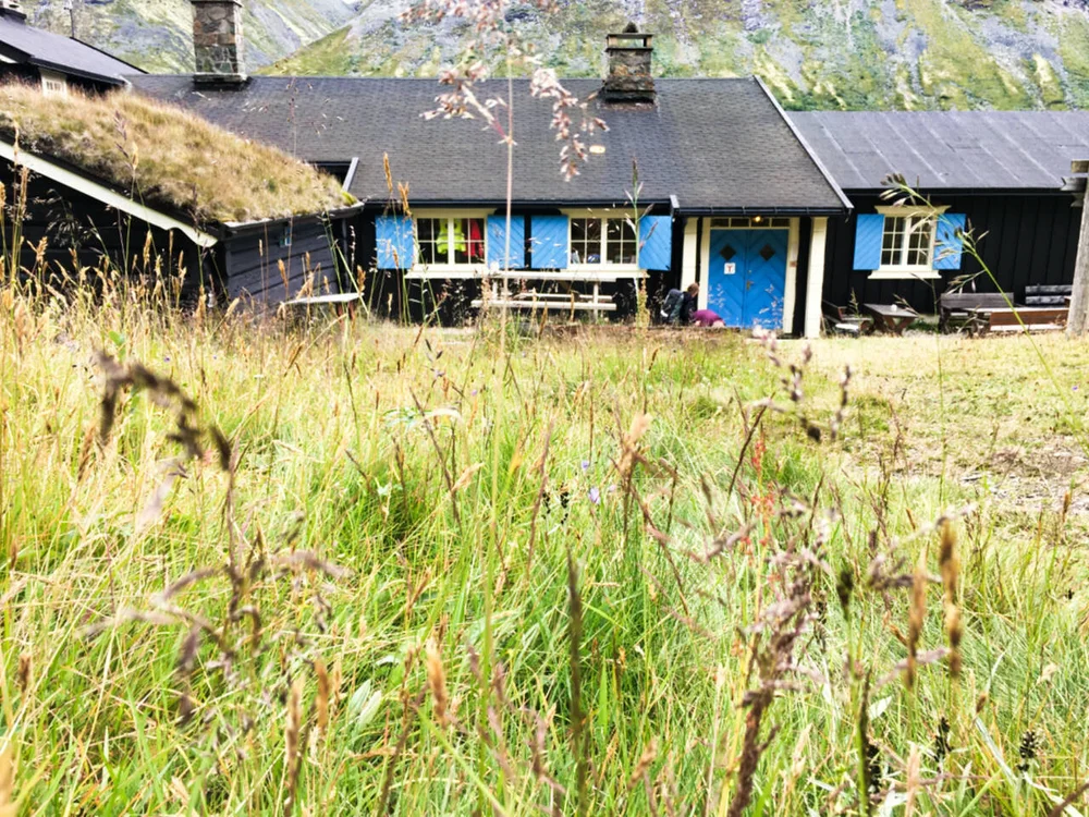 3 short and fabulous treks in Norway; the easy way to hiking Norway in ...