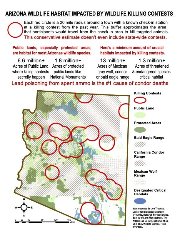 Protect Arizona Wildlife (PAW) — Madrean Archipelago Wildlife Center