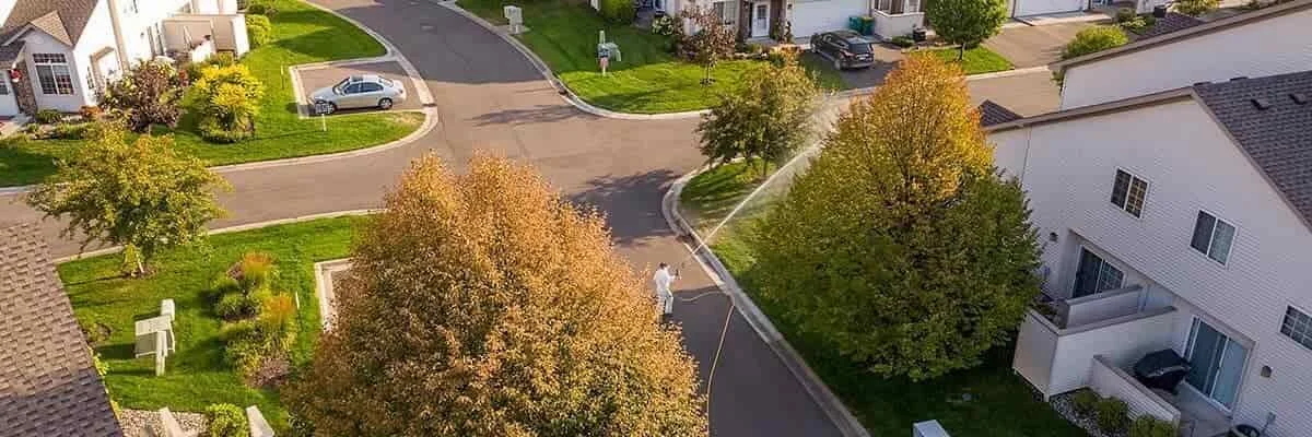 Certified Arborist Tree Services - Birch Tree Care