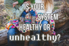 How to tell the Difference between Healthy and Unhealthy Family Systems ...