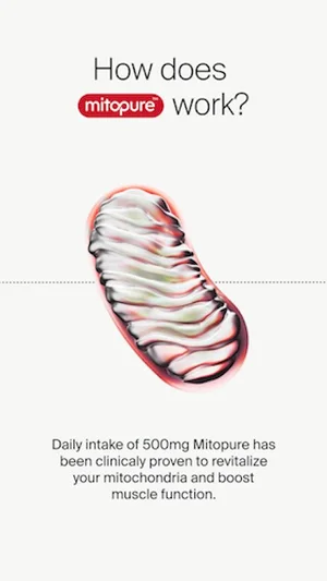 Mitopure Review: Timeline Nutrition’s Urolithin A Supplement (2026 ...