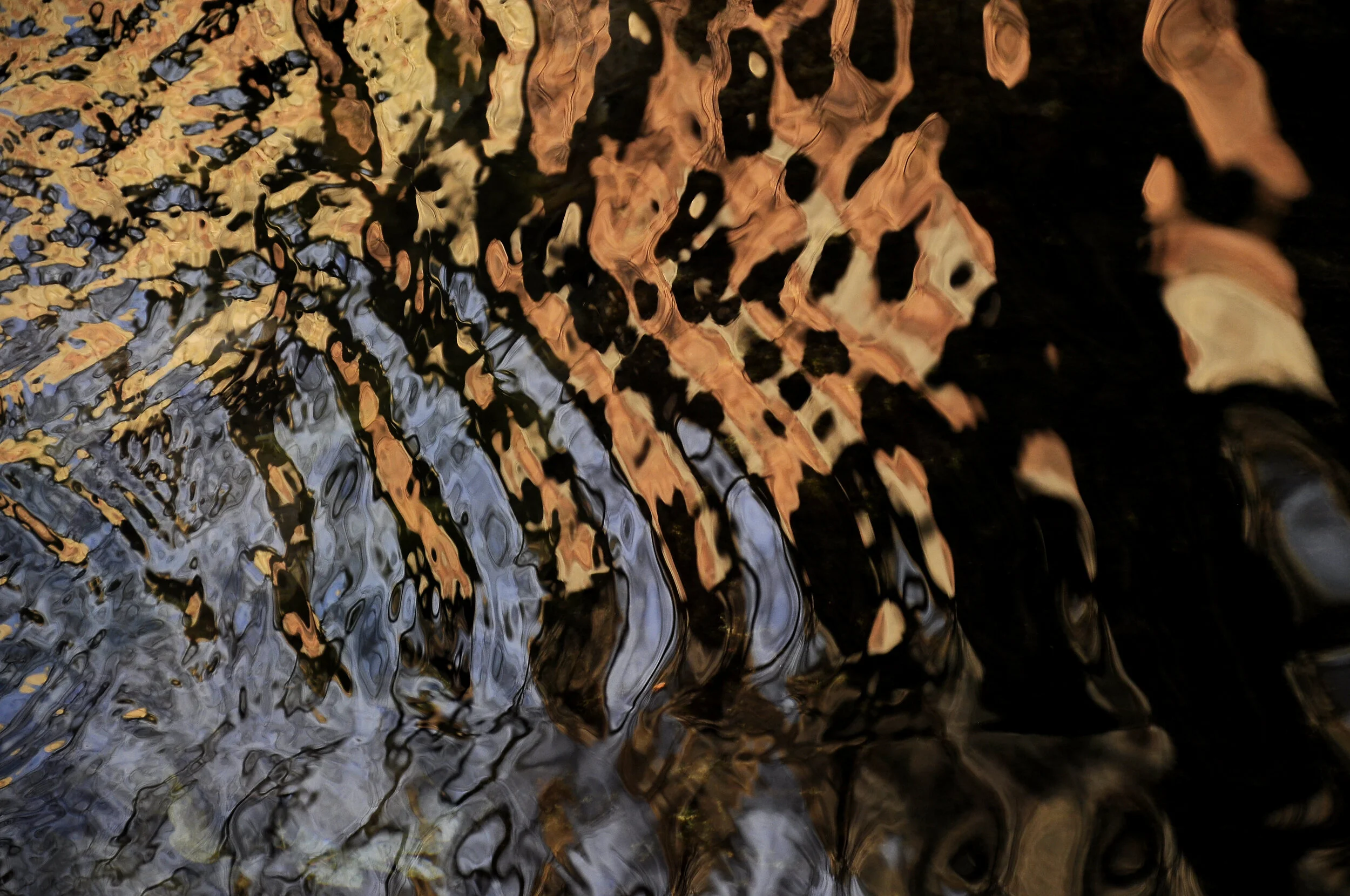 Teachings — Aranya Refuge Theravada Buddhist Monastery