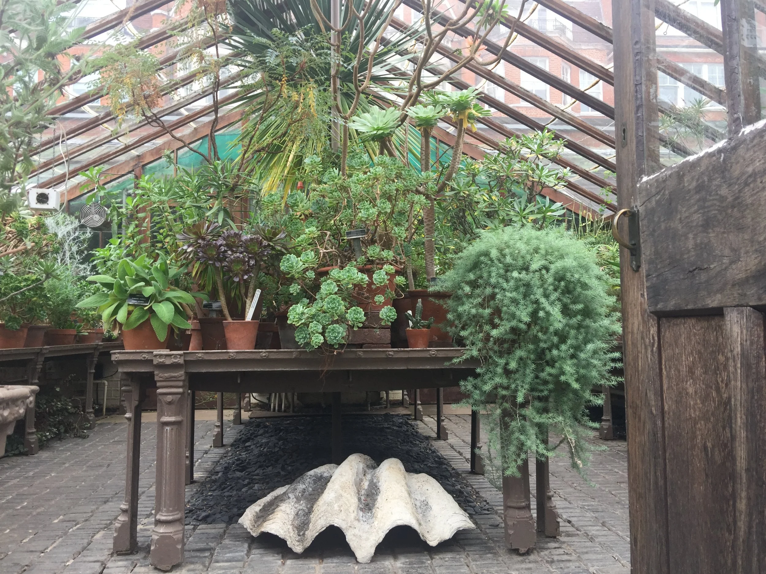 A proper old-fashioned conservatory — New Barn Garden Design Surrey