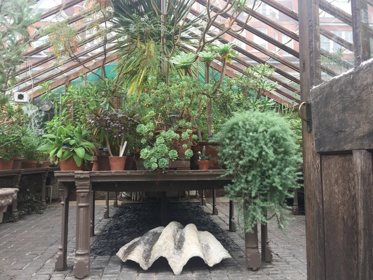 A proper old-fashioned conservatory — New Barn Garden Design Surrey