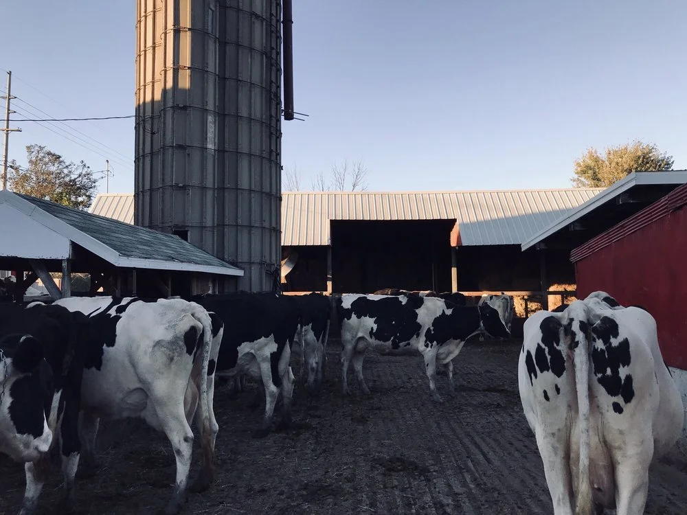 Our Local Vendors — Nature's Cupboard