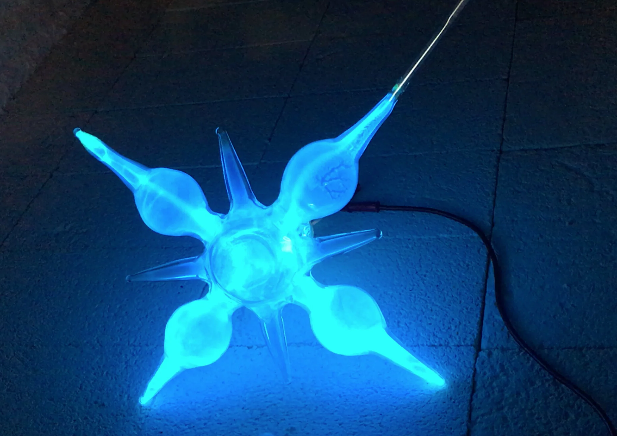 FAST Lightning in a Star (Voynich Manuscript f82r) — Cary Rapaport