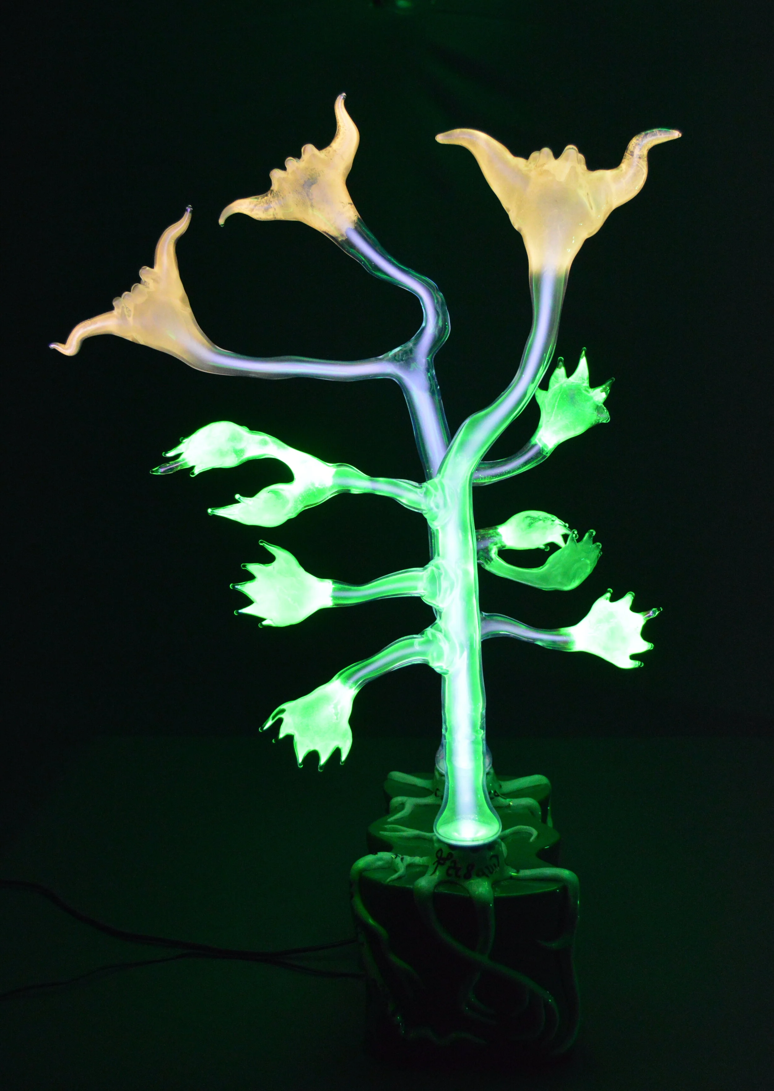 Studio Visit- with Lisa Fagin Davis! — Cary Rapaport