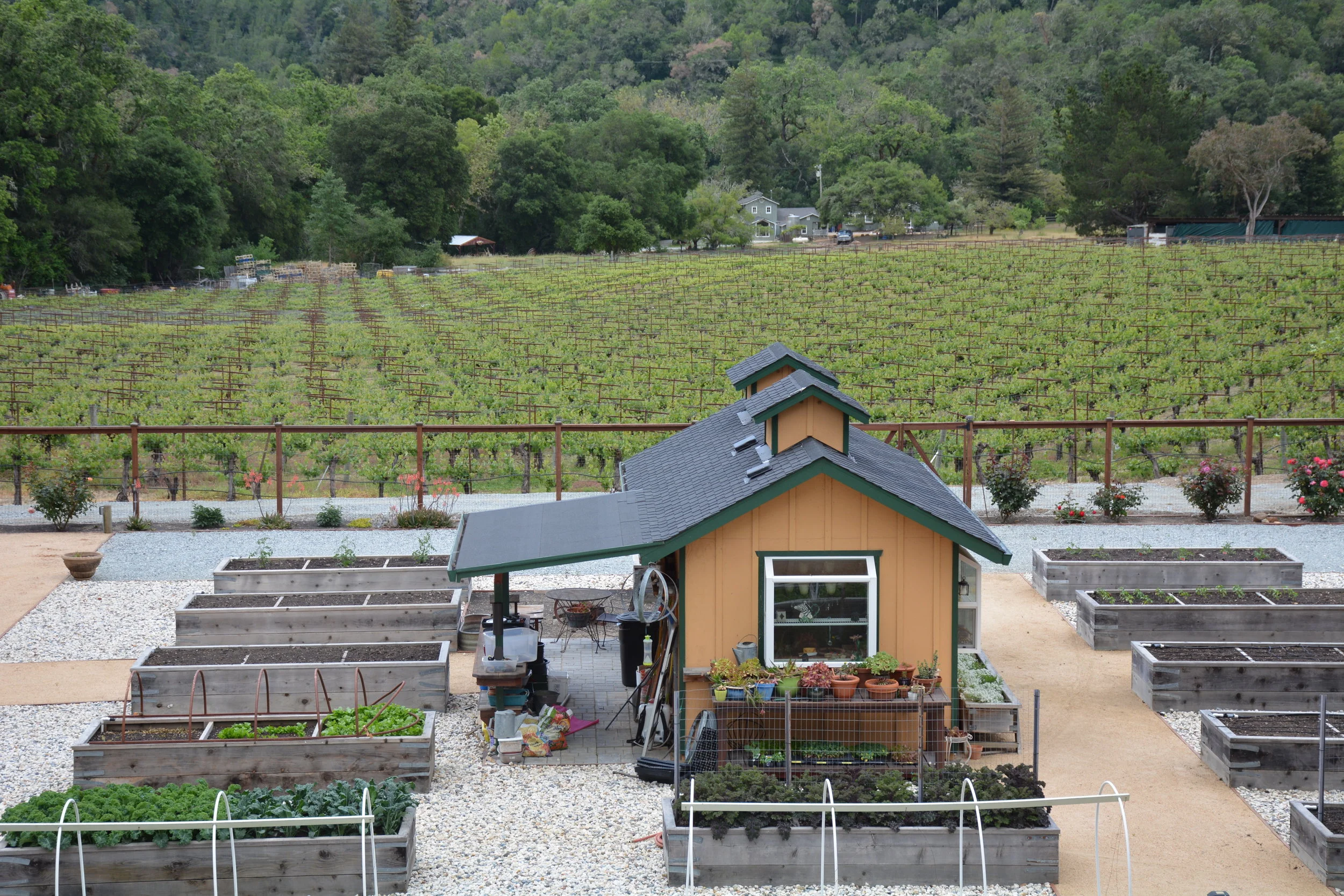 About — Martin Ranch Winery