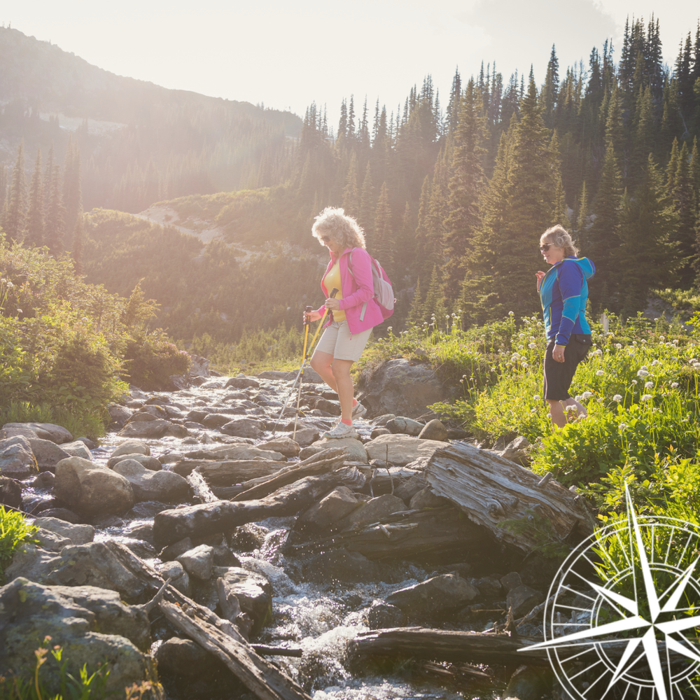 Asset Allocation Strategies — Cornerstone Comprehensive Wealth Management