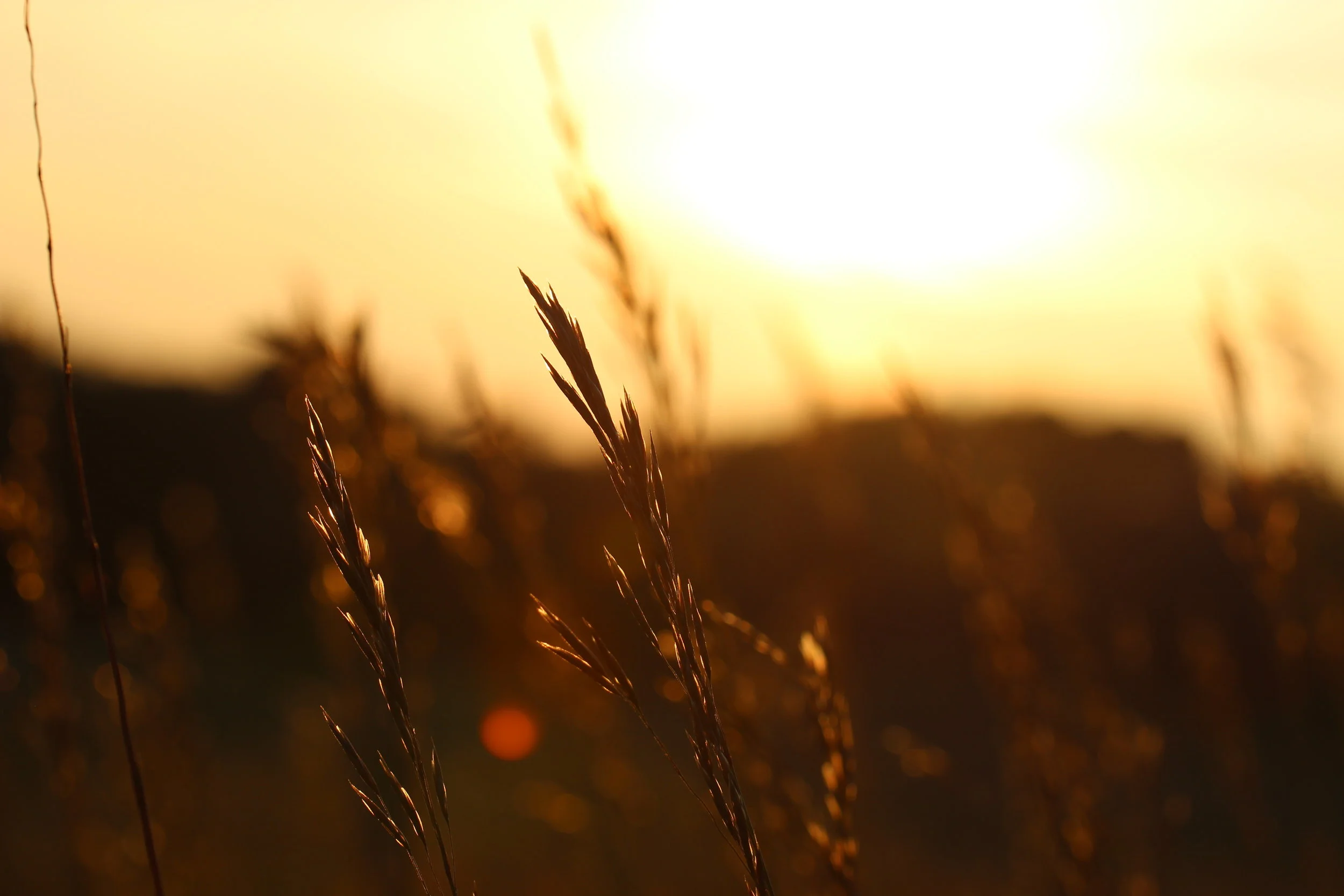 Our Story and Staff — The Croft Residency