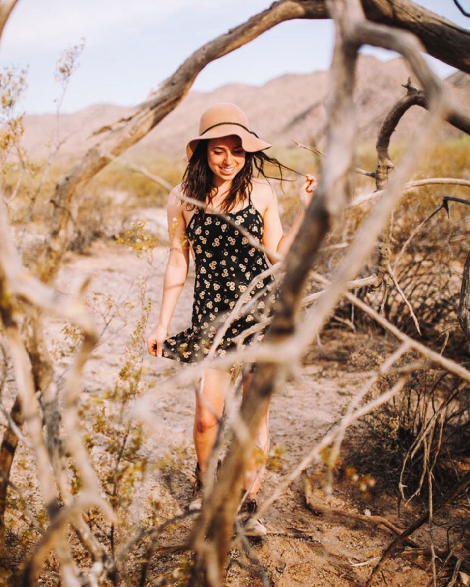 Amanda Kohr — WILD LIGHT DESIGN