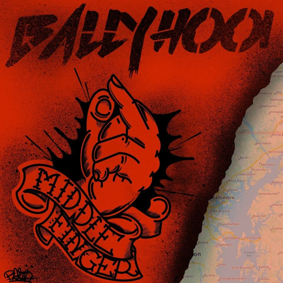 Ballyhoo! - #marylandbeachrock