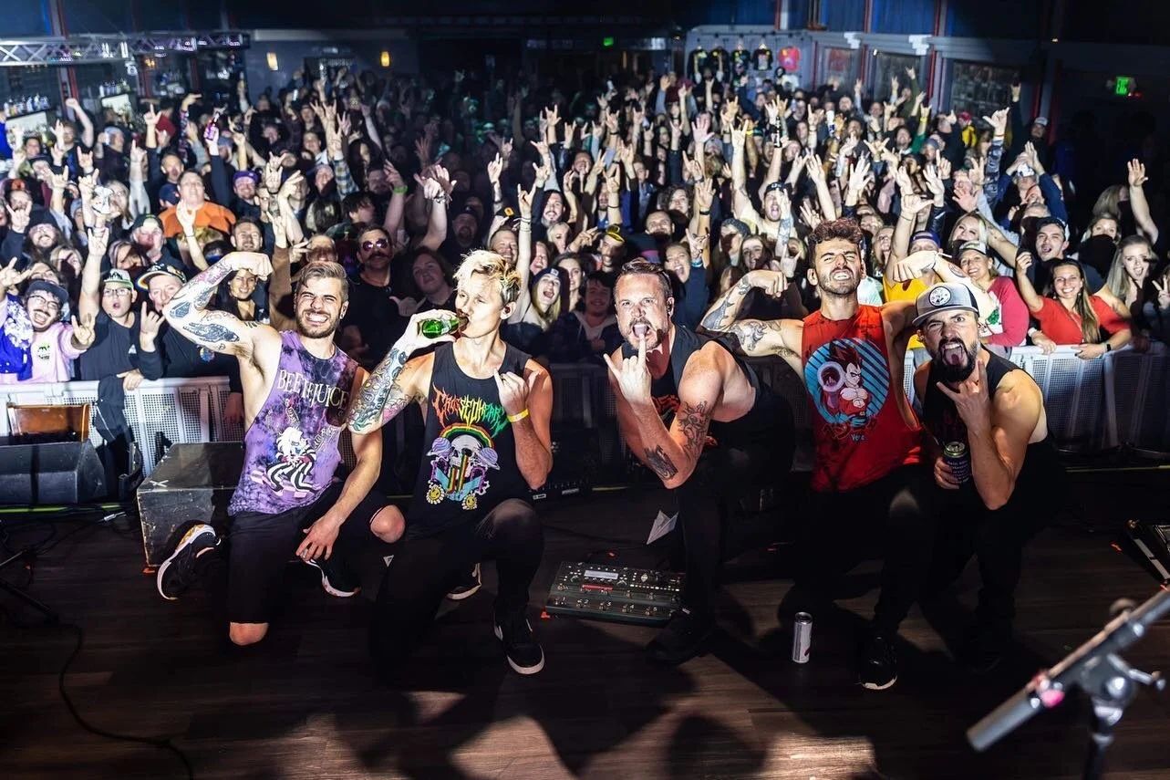 Ballyhoo! - #marylandbeachrock