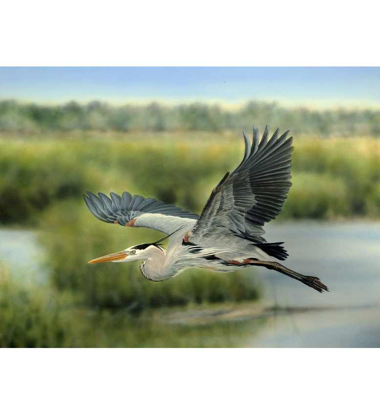 2023 Artist Gallery — Mayfaire by-the-Lake | May 13 & 14