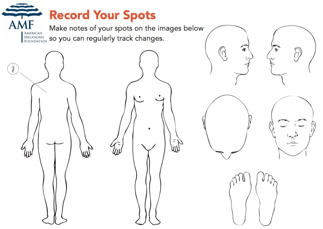 The American Melanoma Foundation