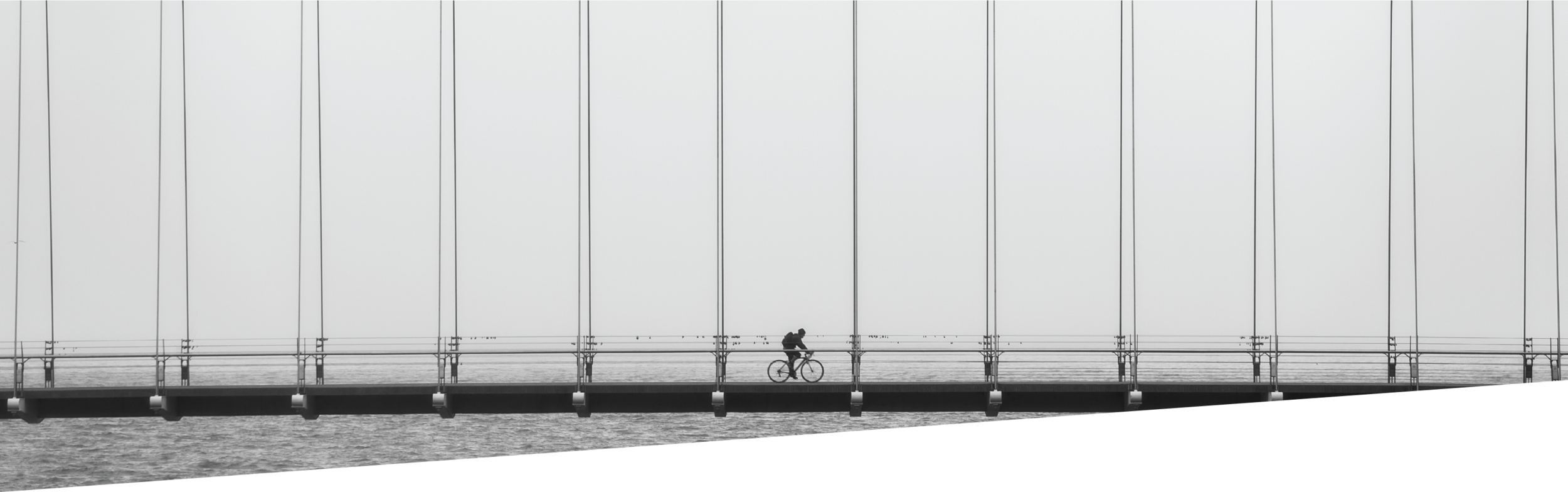 Our Team — Nikola Labs