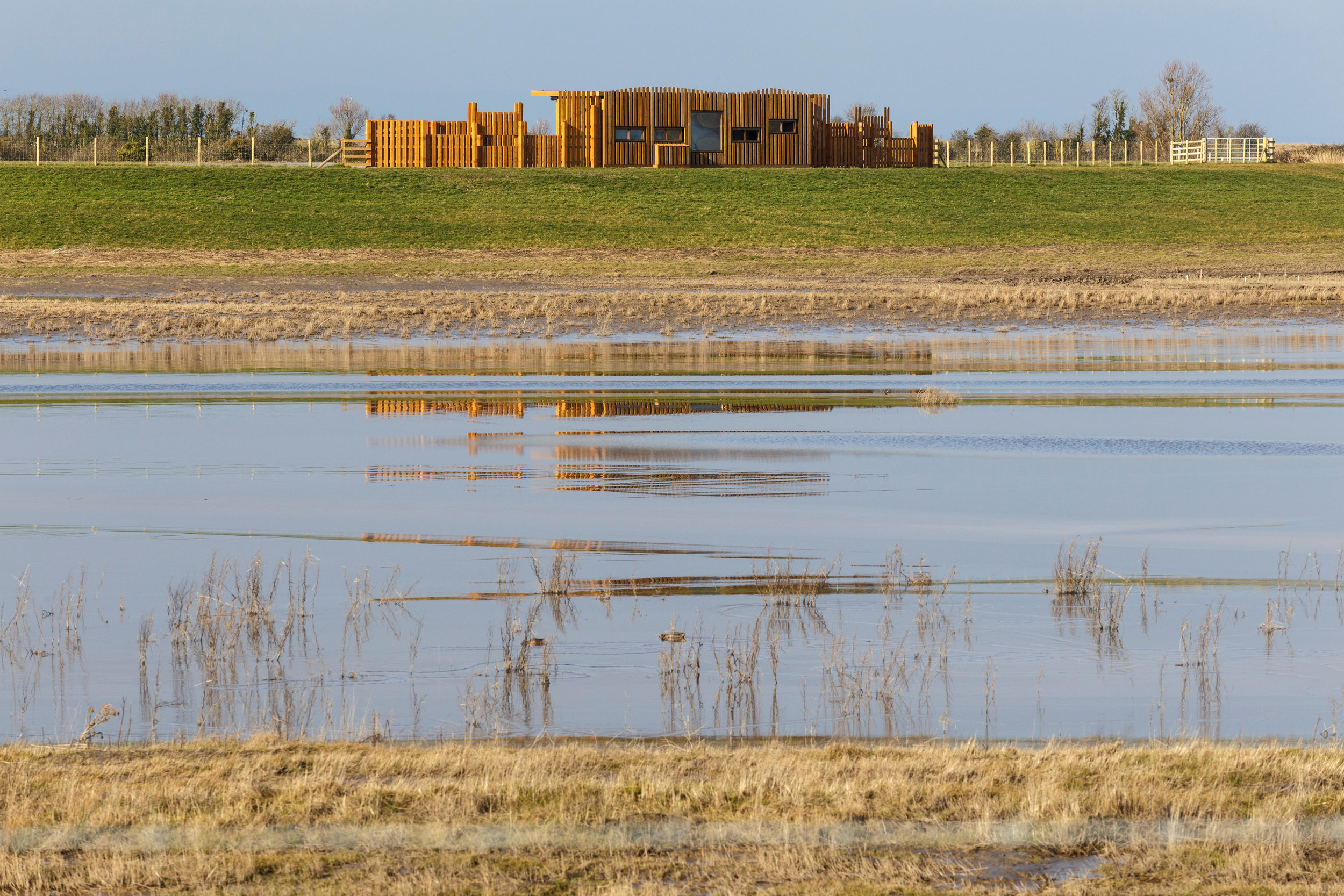 Steart Marshes — Somerset Birdwatching Holidays