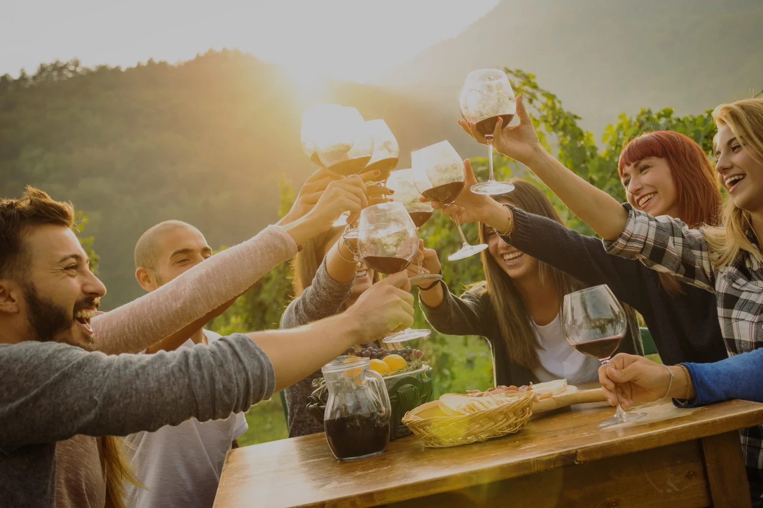 Wine & Beer Tours — Charlottesville Limousine Transportation, Wine ...