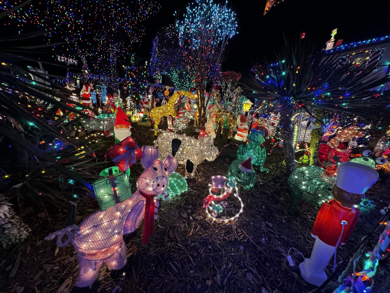 Best Richmond Tacky Light Tours — Charlottesville Limousine ...