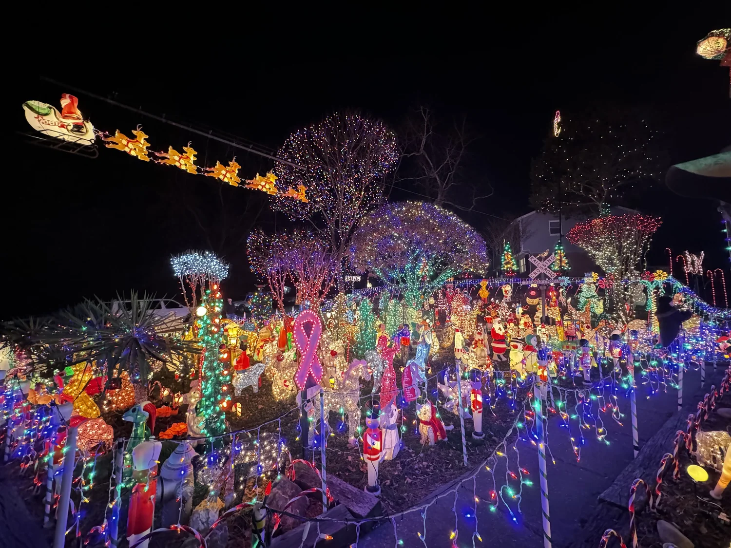 Best Richmond Tacky Light Tours — Charlottesville Limousine ...
