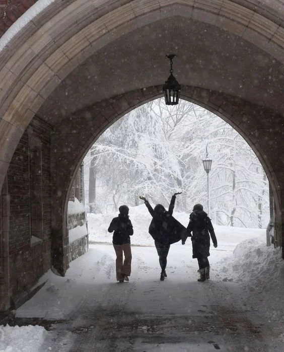 Embrace Winter's Arrival: Your Ultimate Guide to Seasonal Transition ...