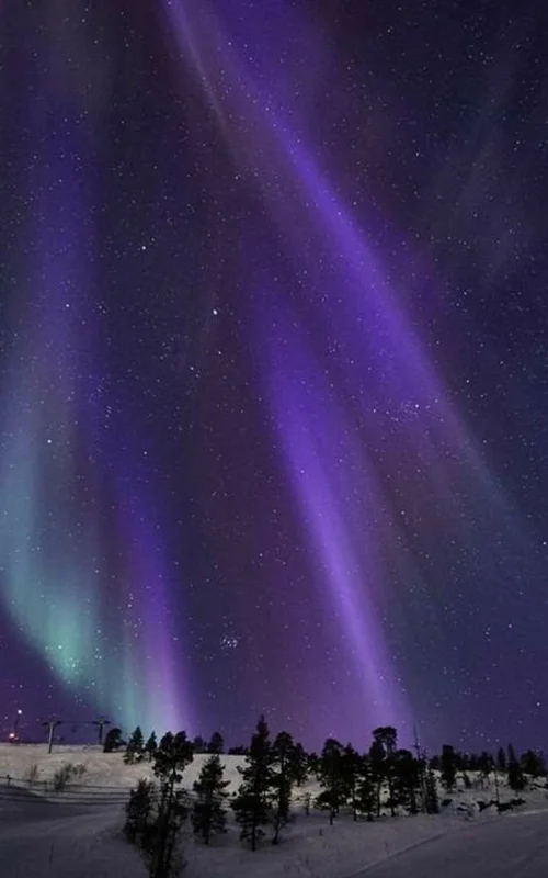 Explore the Magic of Winter Globally: A Photographic Journey Through ...
