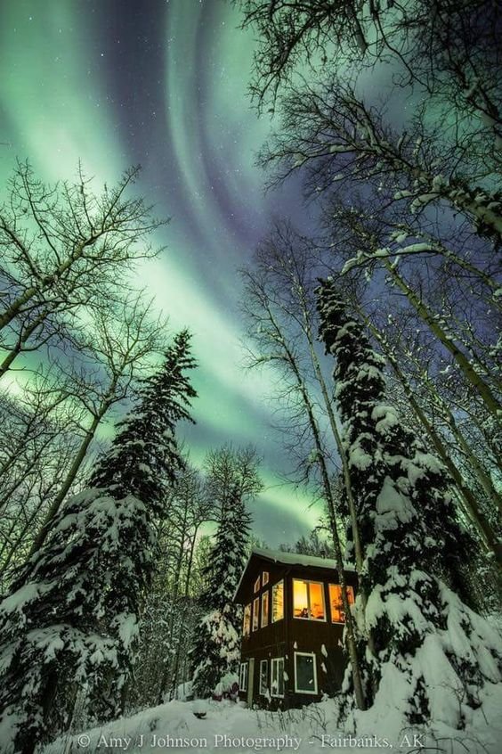 Explore the Magic of Winter Globally: A Photographic Journey Through ...