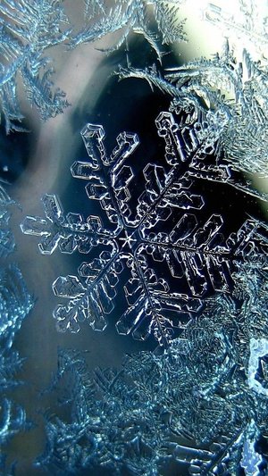 Unveiling Snowflake Secrets: Nature's Intricate Winter Wonders — Joanna ...