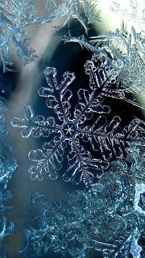 Unveiling Snowflake Secrets: Nature's Intricate Winter Wonders — Joanna ...