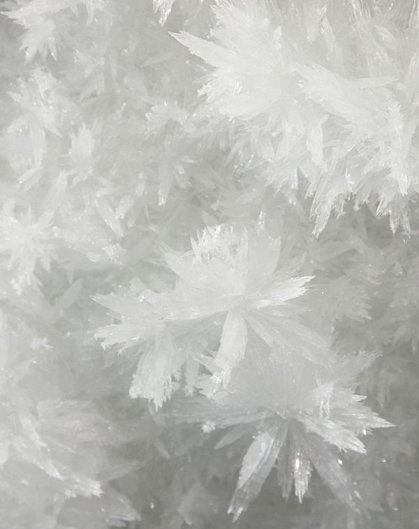 The Secret Sparkle of Snow: Discovering Nature’s Winter Gems — Joanna ...