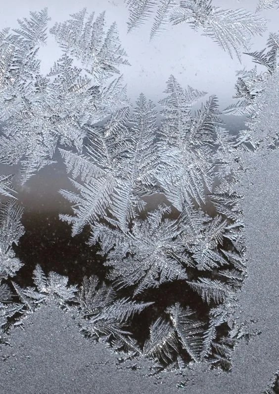 Unveiling Snowflake Secrets: Nature's Intricate Winter Wonders — Joanna ...