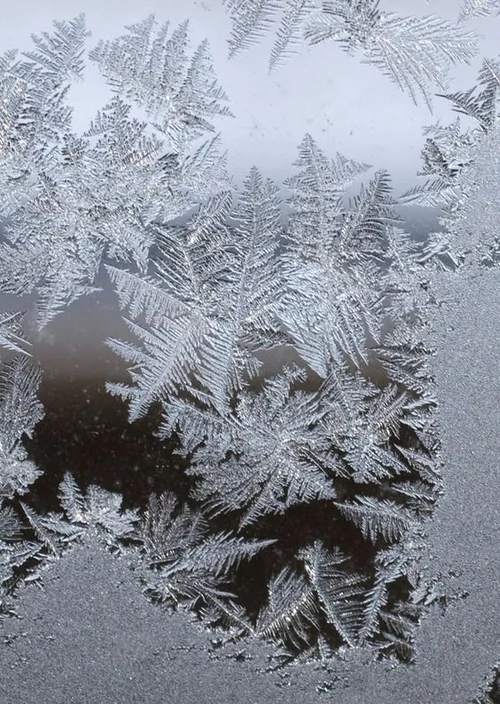 Unveiling Snowflake Secrets: Nature's Intricate Winter Wonders — Joanna ...