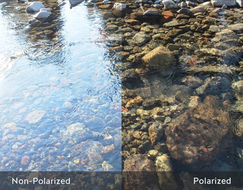 New Year = New Transitions Lens Technology! — MOSH