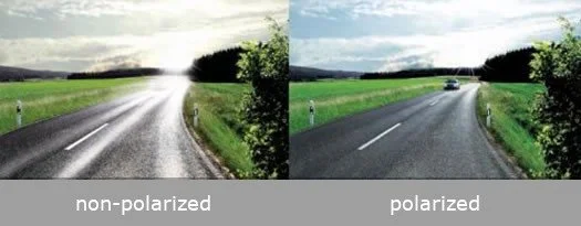 Sun Lenses - Tinted or Polarized? — MOSH