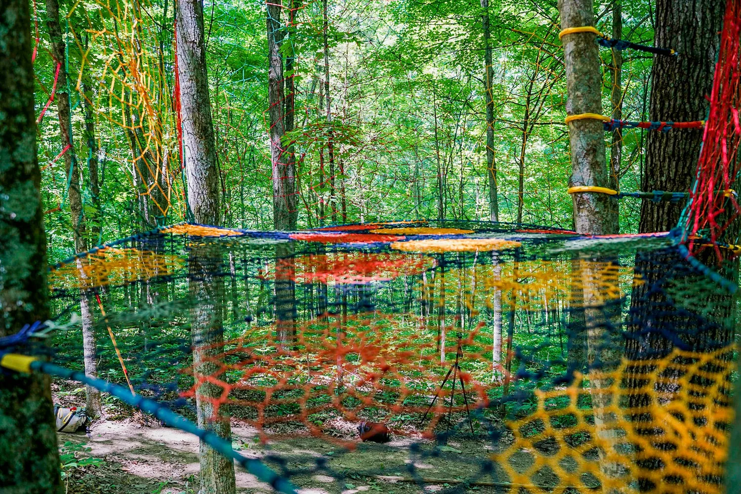 Juniper Moon Grove Tree Net — Tree Weaves