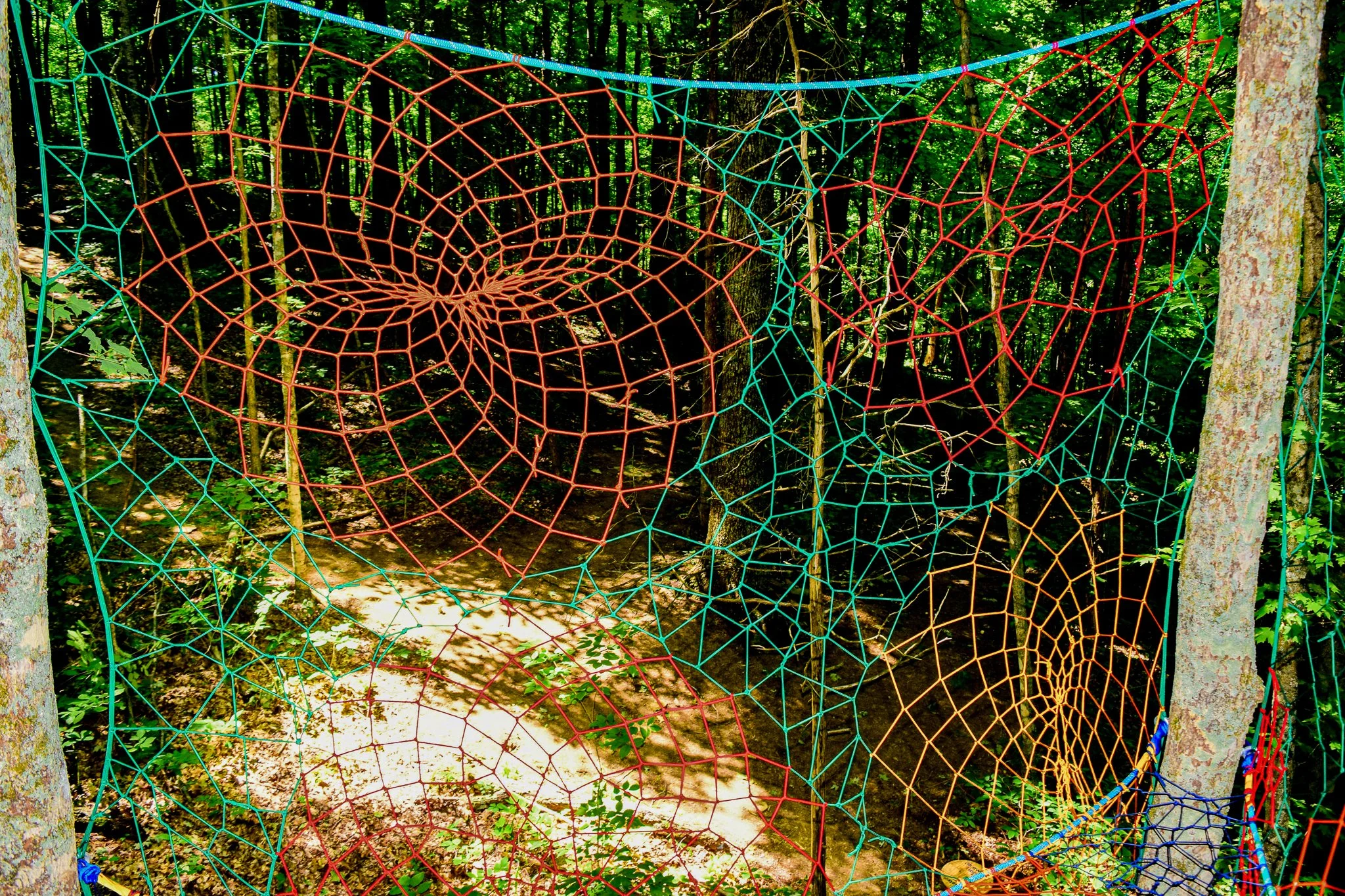 Juniper Moon Grove Tree Net — Tree Weaves