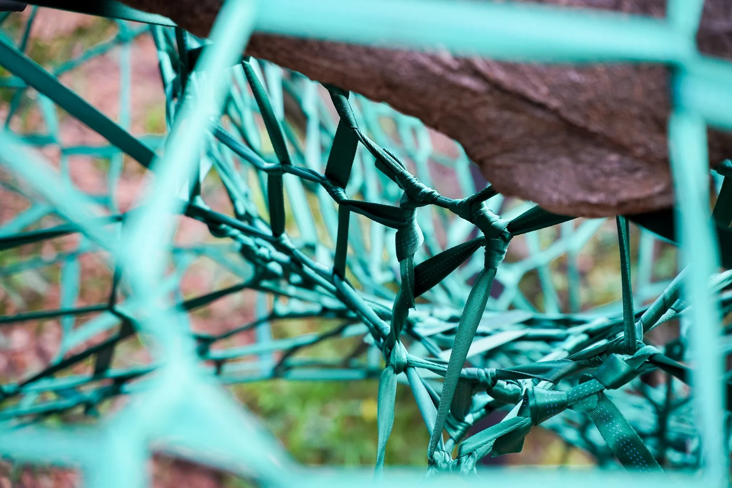 Tree Weaves