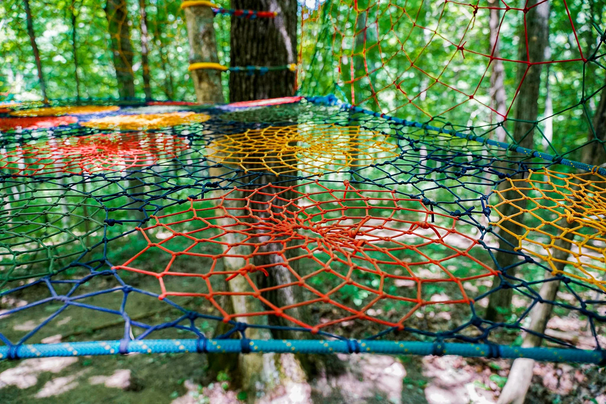 Juniper Moon Grove Tree Net — Tree Weaves