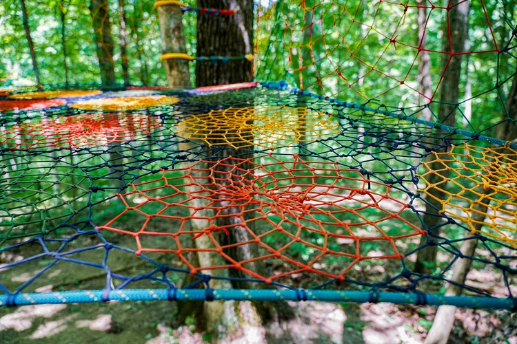 Juniper Moon Grove Tree Net — Tree Weaves