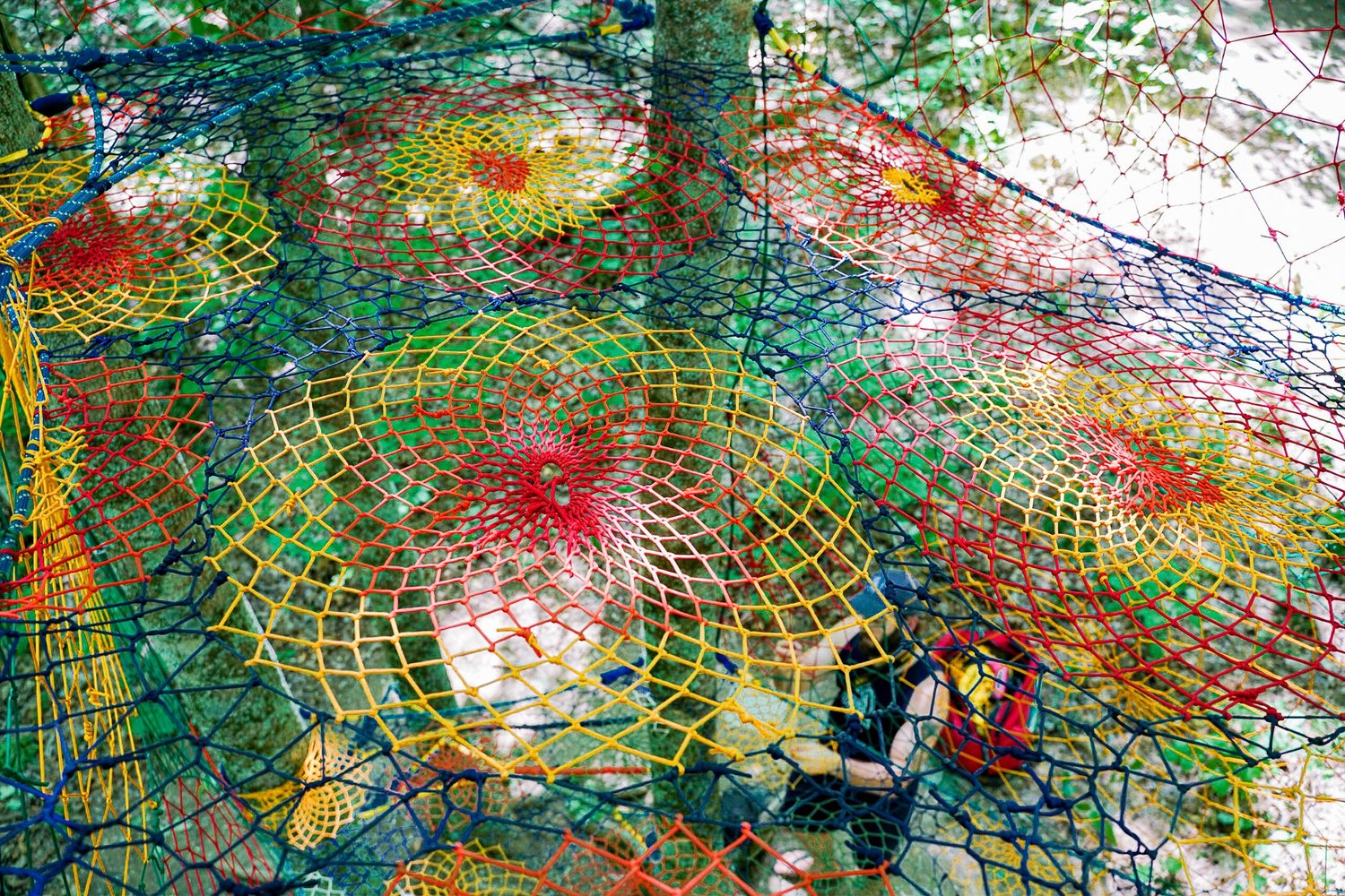 Juniper Moon Grove Tree Net — Tree Weaves