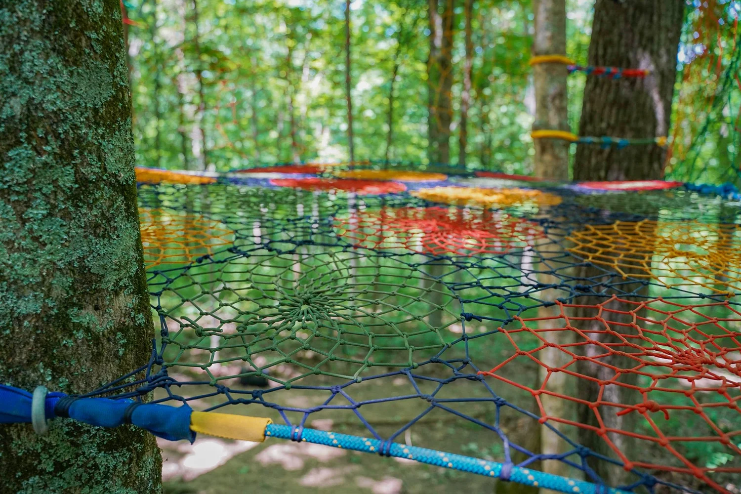 Juniper Moon Grove Tree Net — Tree Weaves