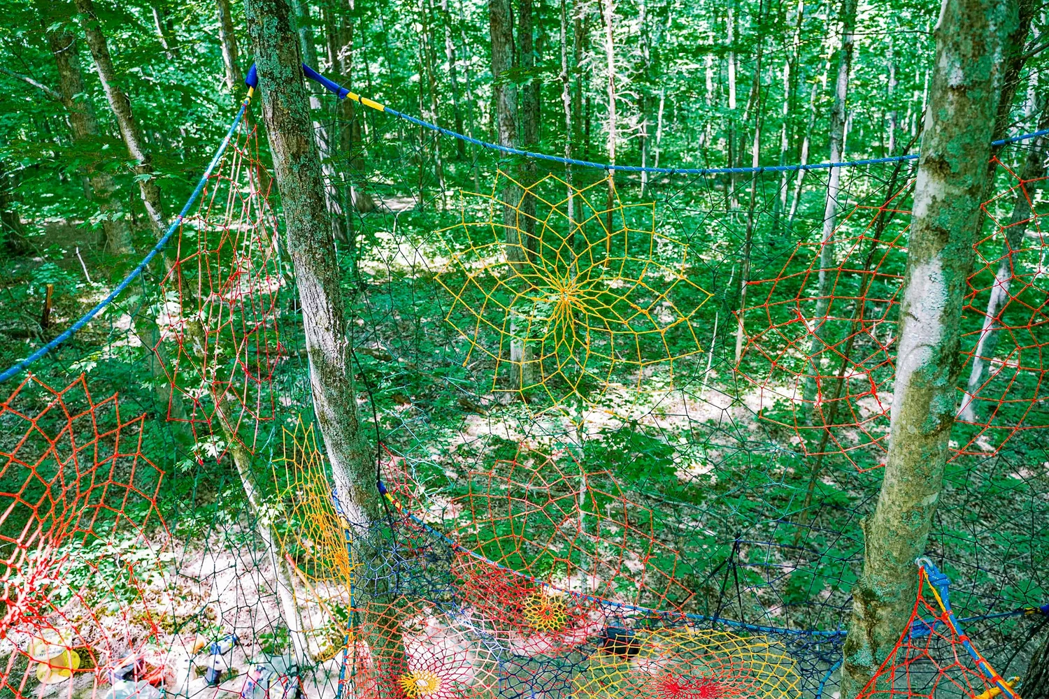 Juniper Moon Grove Tree Net — Tree Weaves