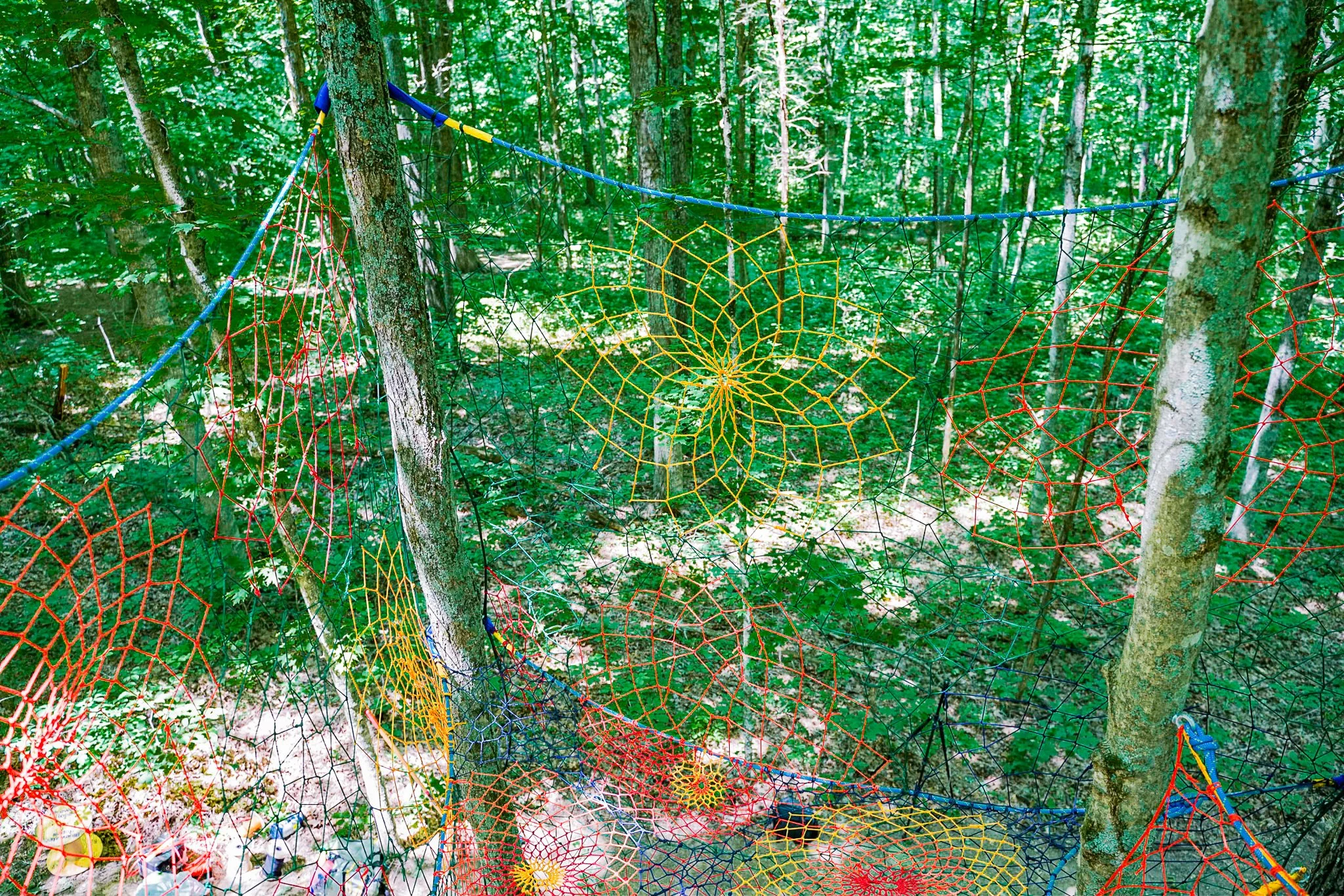 Juniper Moon Grove Tree Net — Tree Weaves